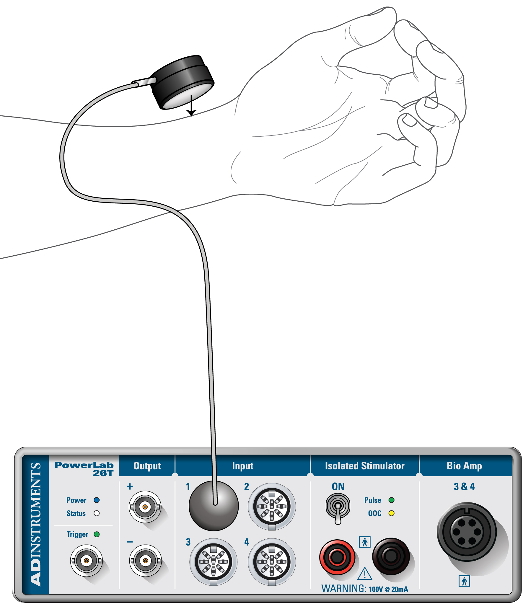 Settings for Sampling Panels in Lt - Pulse and Heart Rate | ADInstruments